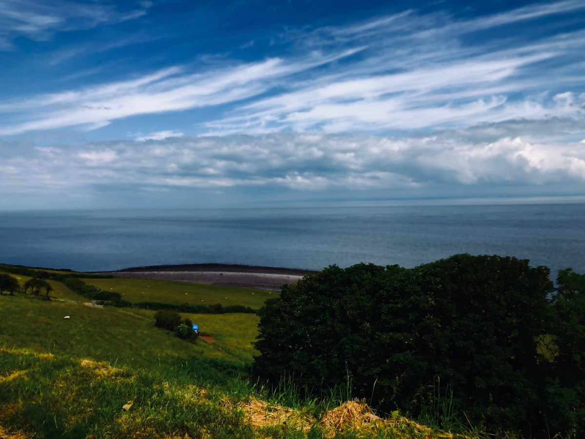 Gordon has Horns! – Winging it well!